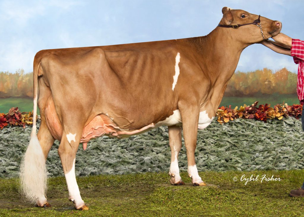 Nugent – Masterpiece Genetics
